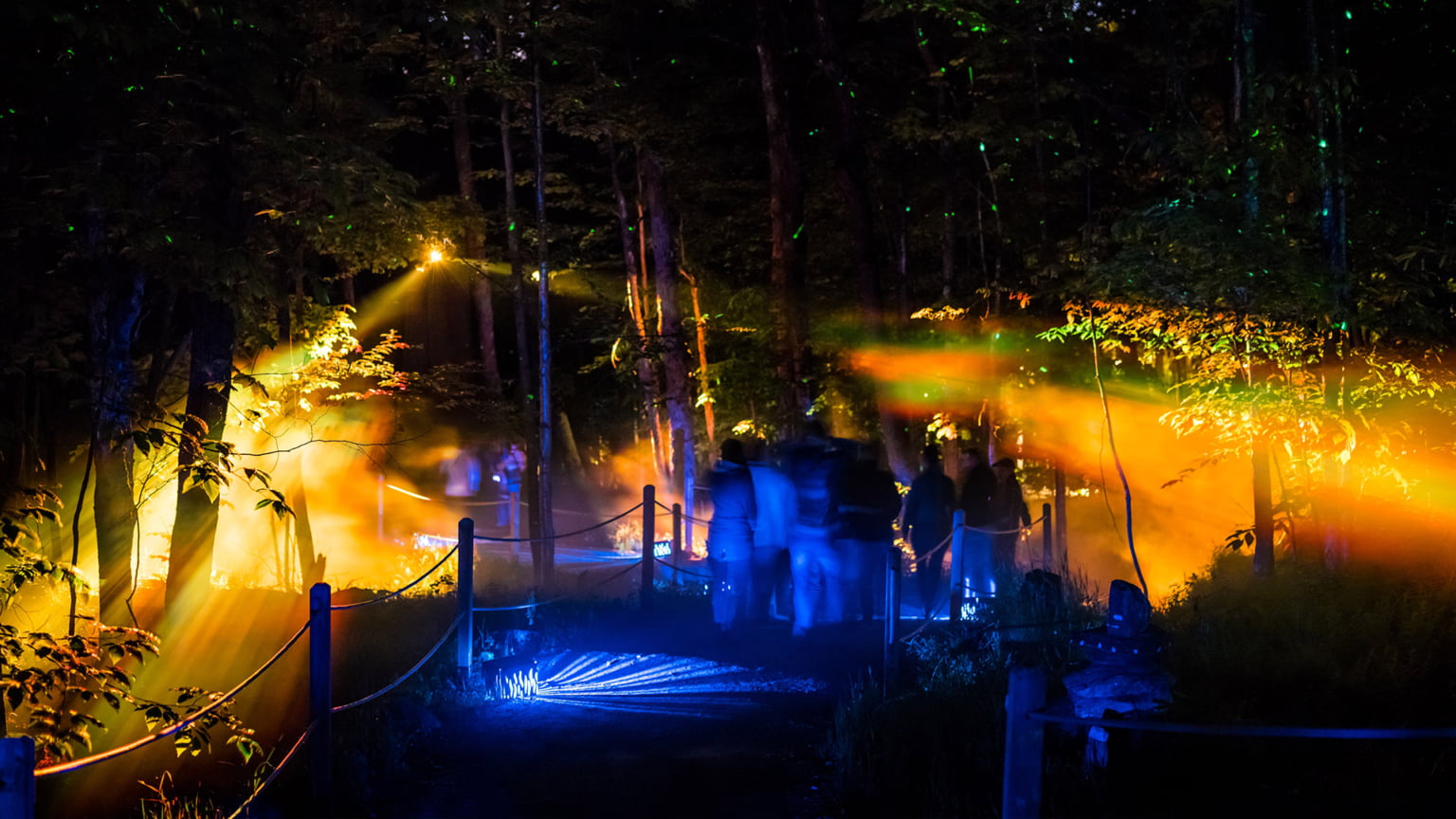 Tonga Lumina | An experience created by Moment Factory